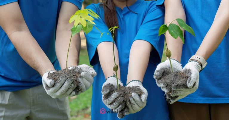 Top Volunteer Holidays Activities: 20 Ways to Travel & Give Back!